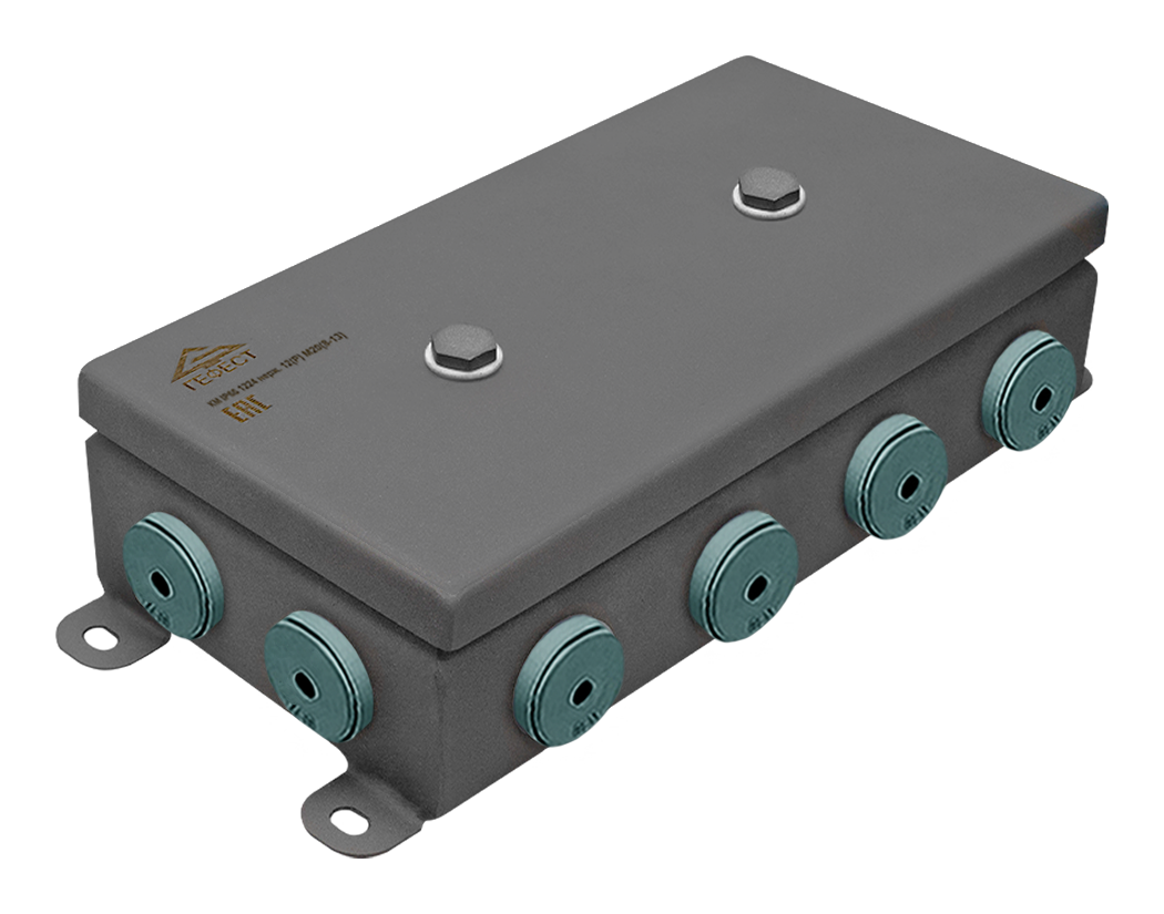 КМ IP66(Р) 1224 12 inputs (8-13) from stainless steel